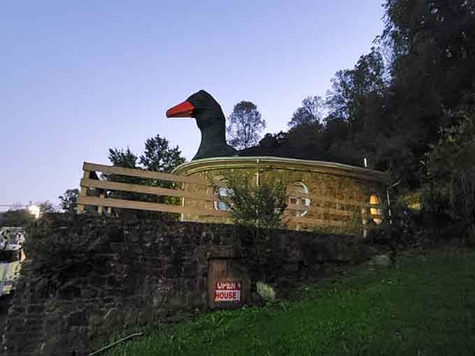That's not a typo on your GPS; you've genuinely found a house with a goose situation.