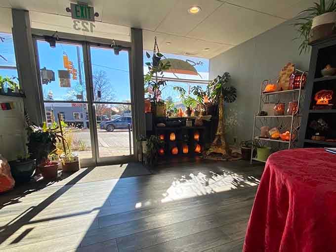 Natural light streaming through those windows mingles with salt lamp glow, creating an atmosphere that whispers "relax" before you even sit down.