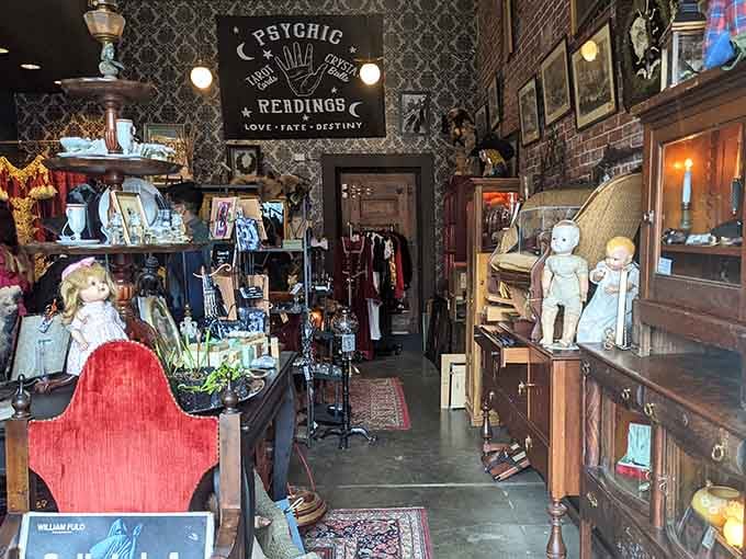 Victorian curiosities meet modern mysticism in a space that redefines "eclectic" for the Portland shopping experience.