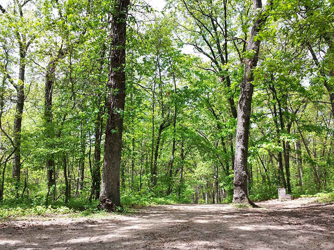 These trails don't judge your fitness level, they just invite you to wander and wonder.