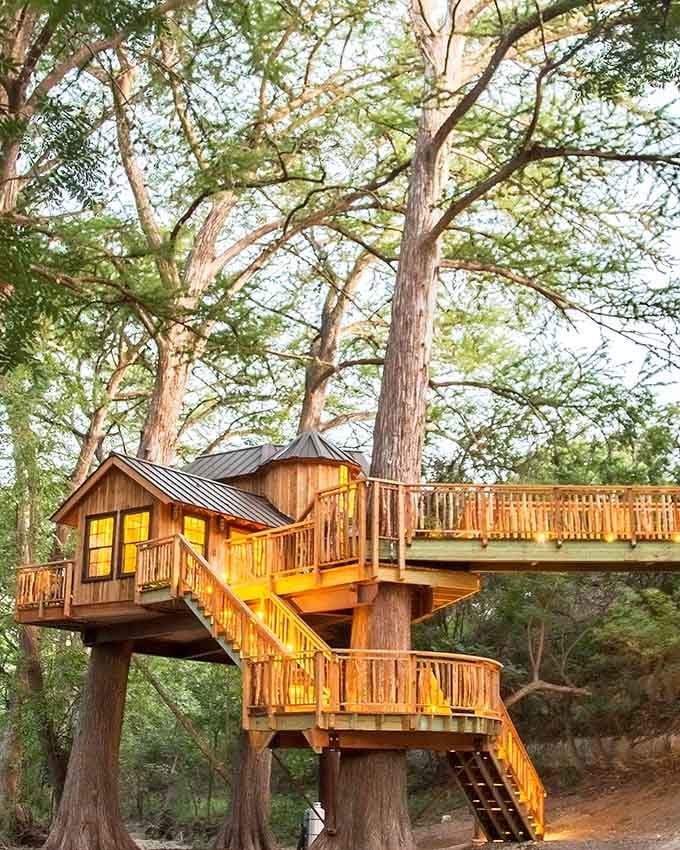 The Chateau treehouse glows like a lantern in the forest, proving luxury and whimsy make excellent roommates.