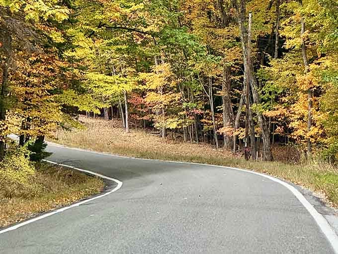 These curves aren't just testing your driving skills—they're testing your willpower to keep moving forward.