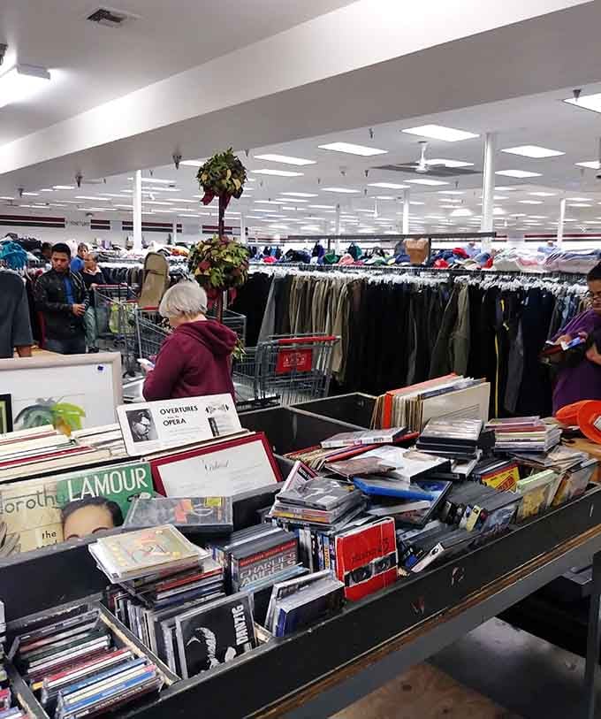 Books, records, and endless clothing racks create a maze where time disappears faster than your shopping budget.