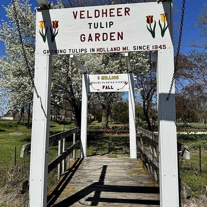 That charming wooden bridge isn't just an entrance, it's your portal to five million reasons to smile.