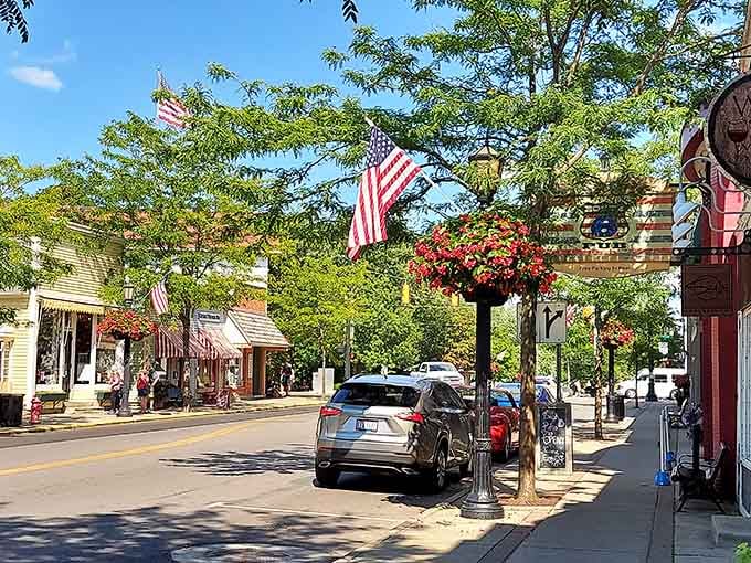 Downtown Vermilion's colorful storefronts look like someone raided a paint store and made excellent decisions.