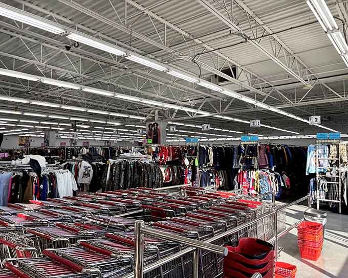 Rows of possibilities stretch before you like a textile wonderland waiting to be explored and conquered.