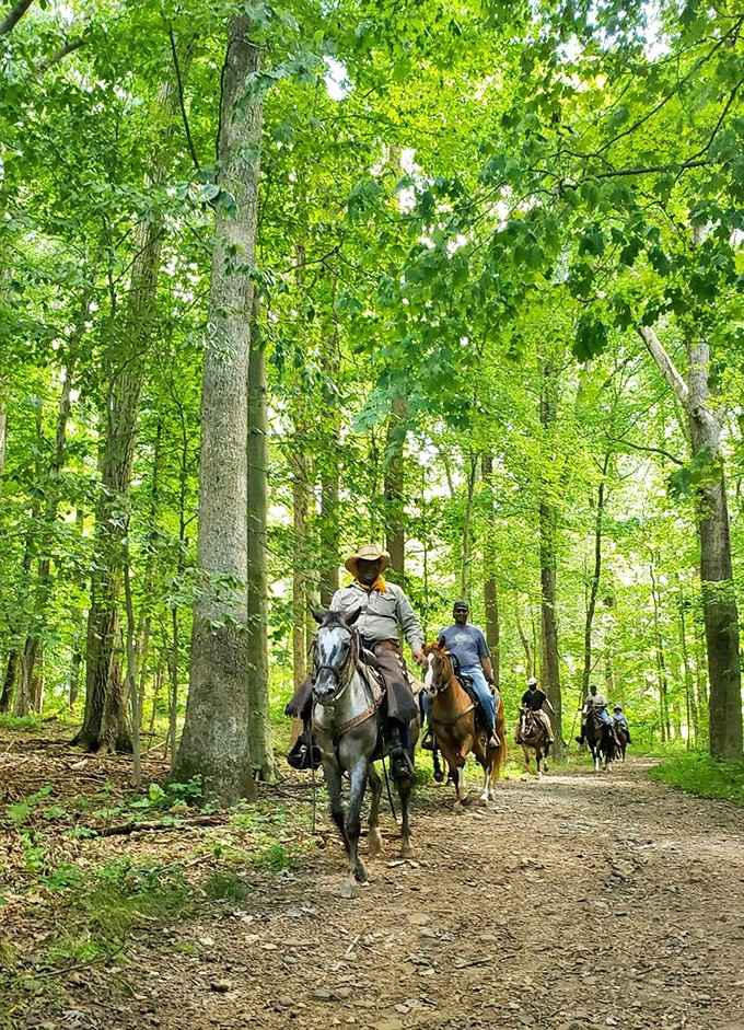 Saddle up for an adventure that proves New Jersey has more to offer than exit numbers and diners.