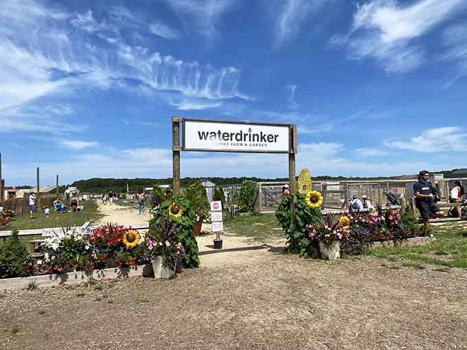 That entrance sign isn't just welcoming you to a farm&mdash;it's your portal to floral paradise.