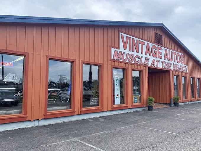 The warm wood exterior promises treasures inside, and trust us, this place absolutely delivers on that promise.