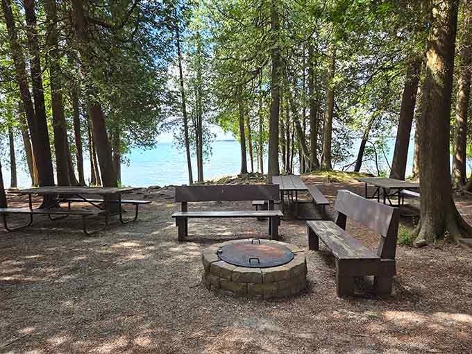 Your new favorite picnic spot comes with a lake view that beats any restaurant patio.