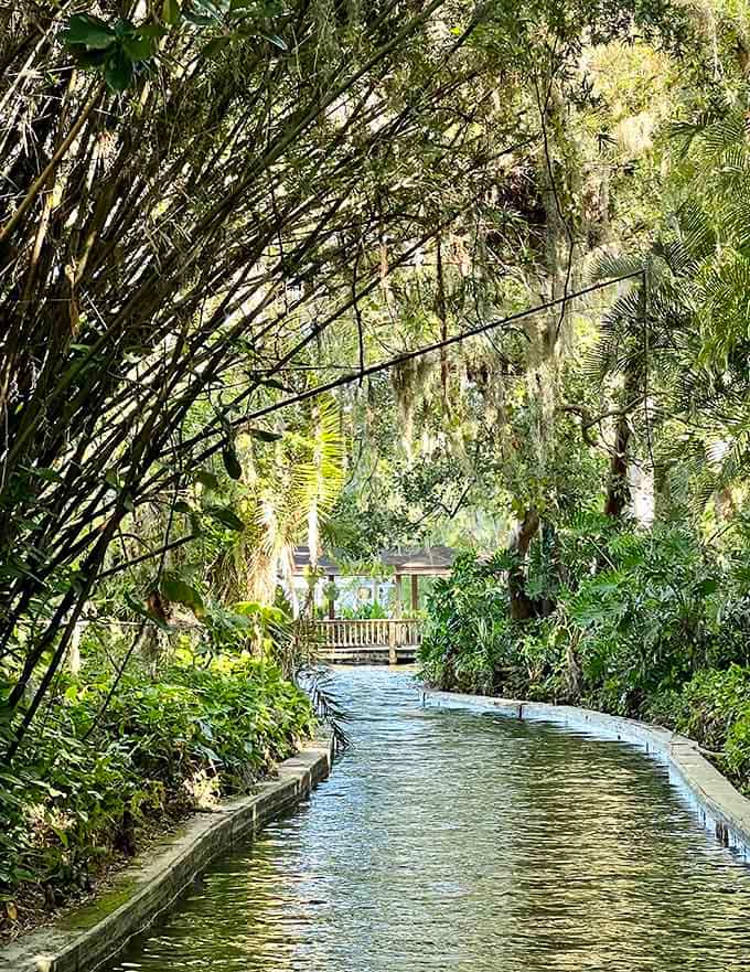 These narrow waterways feel like nature's secret hallways, leading you somewhere wonderfully unexpected and green.