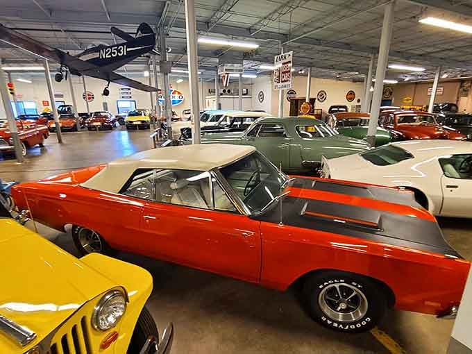 Chrome, color, and character fill every corner of this automotive wonderland where history gleams under perfect lighting.