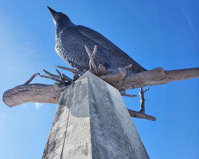 Looking up at this magnificent bird feels like being in a Hitchcock film, minus the terror and plus the wonder.