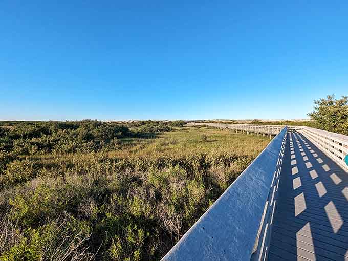 This narrow footbridge crosses tea-colored water flanked by palmettos, leading adventurers deeper into the subtropical wilderness ahead.
