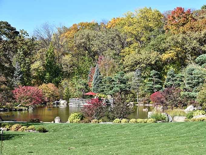 Autumn transforms this serene pond into a painter's palette with fiery reds and golden yellows reflected in still water.