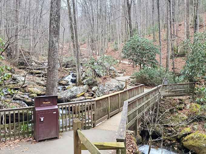A wooden bridge over babbling water leads you deeper into the forest like a scene from Mayberry.