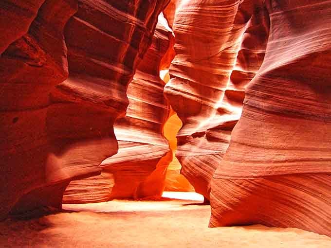 Light pours through the slot canyon like liquid gold, painting the smooth walls in shades you'd swear were Photoshopped.