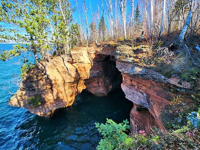 Nature carved these sandstone sea caves like a master sculptor working with rust-colored stone and endless patience.