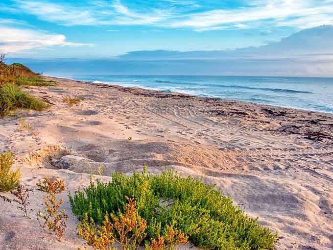 This untouched stretch of sand whispers what beaches looked like before condos, just dunes and endless Atlantic views.