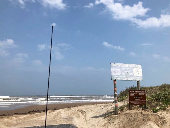 The weathered sea turtle nesting sign marks where ancient mariners return home, a tradition older than your favorite TV reruns.