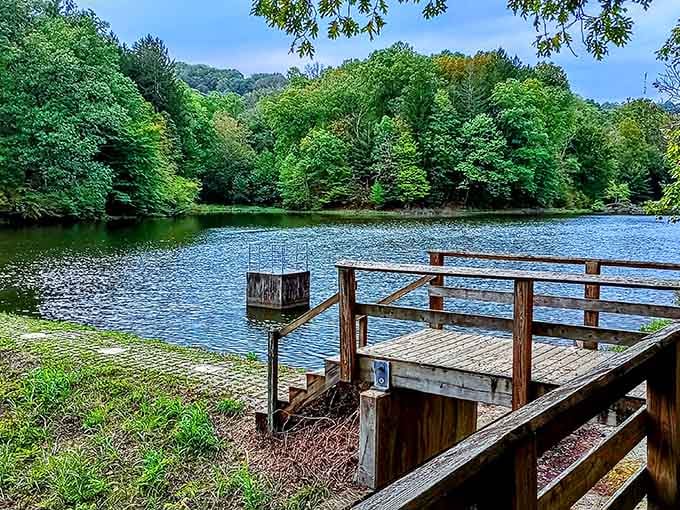 A peaceful fishing dock invites you to slow down and watch the water shimmer under green canopies.