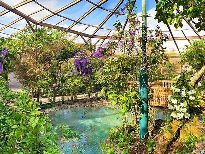 Step inside this screened paradise where purple blooms cascade overhead and butterflies dance through tropical air.