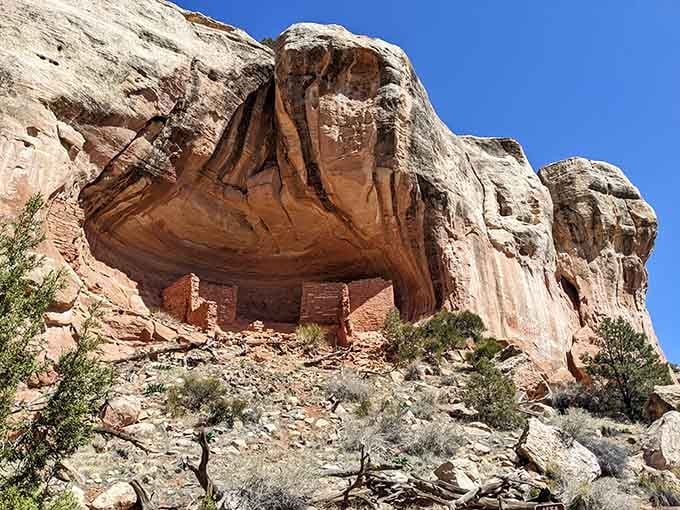 Ancient cliff dwellings nestle beneath a sweeping sandstone overhang, where centuries-old walls still stand against brilliant blue skies.