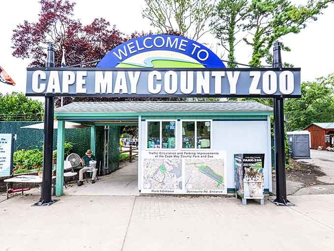 The bright blue "Welcome" arch stands like a friendly giant, inviting you into a world-class zoo experience that's completely free.