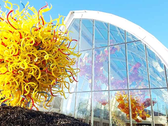 That golden glass sculpture bursting with energy looks like the sun decided to take up permanent residence in Seattle.