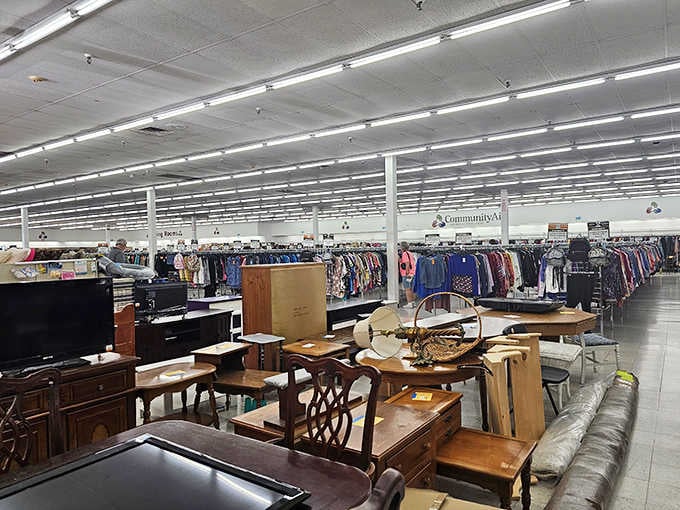 Look at those endless aisles stretching toward the horizon like a treasure hunter's dream come true in retail form.