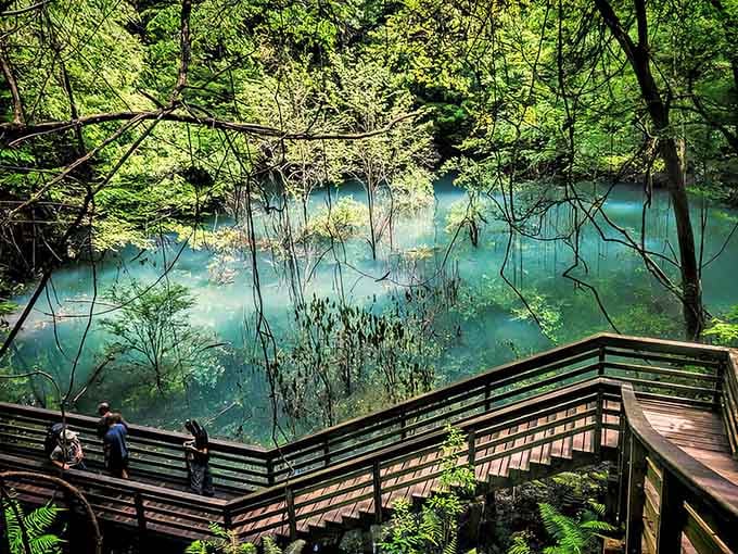 Wooden boardwalks wind down into this massive sinkhole where lush greenery meets impossibly turquoise water below.