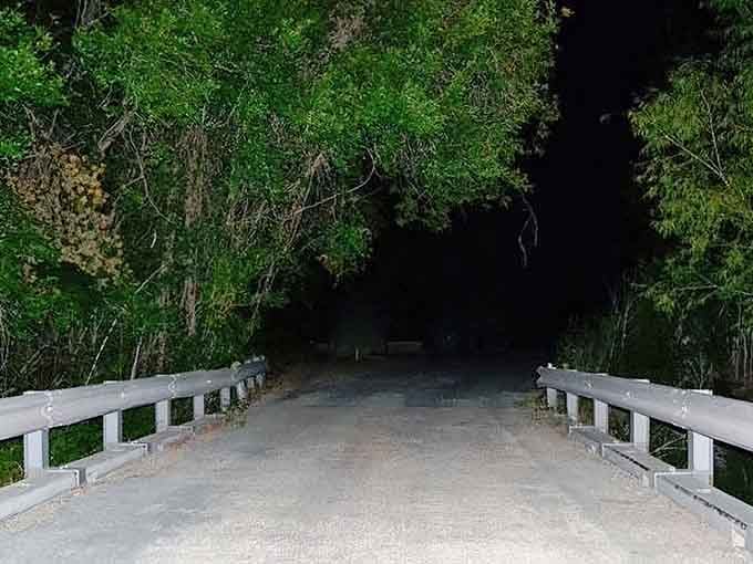 This bridge disappears into darkness like a portal to another dimension where legends come alive.
