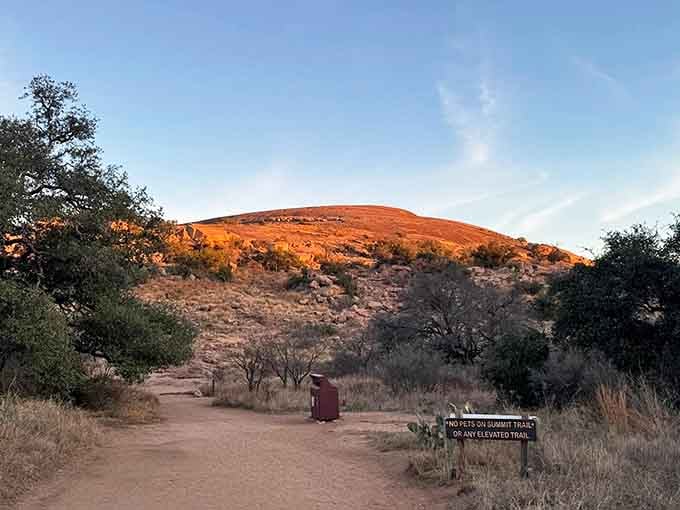 Golden hour transforms this pink granite dome into something magical, like nature's own mood lighting for your evening stroll.