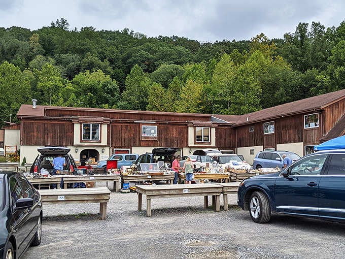 Nestled against lush green hills, this outdoor market setup proves treasure hunting looks better with a scenic backdrop.
