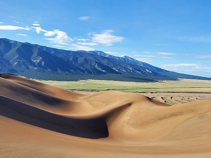 Sand dunes ripple like frozen ocean waves against mountain peaks, creating nature's most unexpected and delightful contradiction in the Rockies.