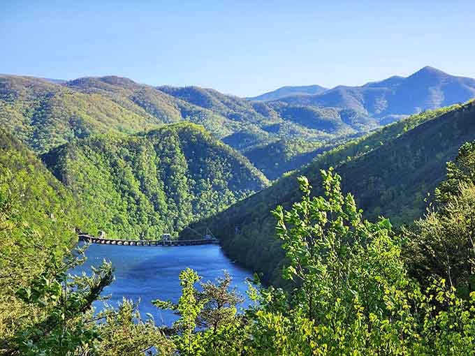 Mountains fold into each other like a Bob Ross painting, with that blue reservoir nestled perfectly in the valley.