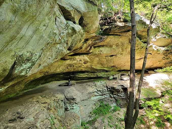 Nature's own cathedral ceiling, where massive sandstone overhangs shelter moss-covered rocks in perpetual cool shade and mystery.