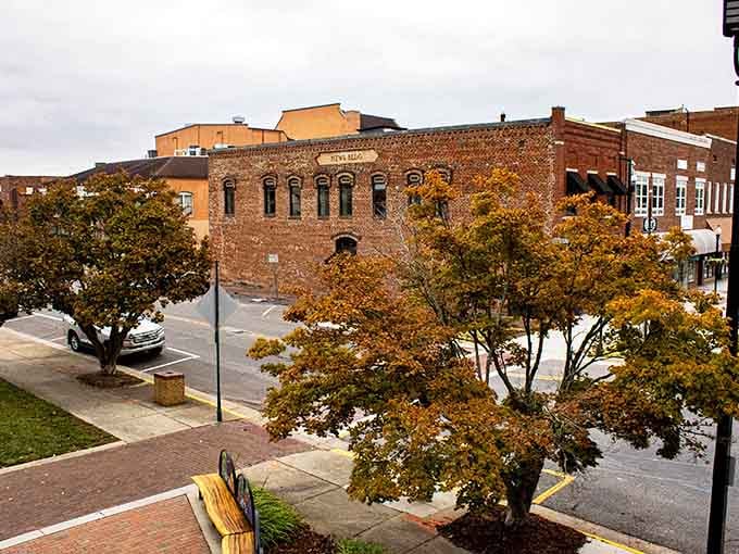 Autumn paints this charming downtown in golden hues, making every morning walk feel like a Hallmark movie.
