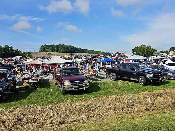 When the sky's this blue and the field's this full, you know you've found bargain-hunting heaven on earth.