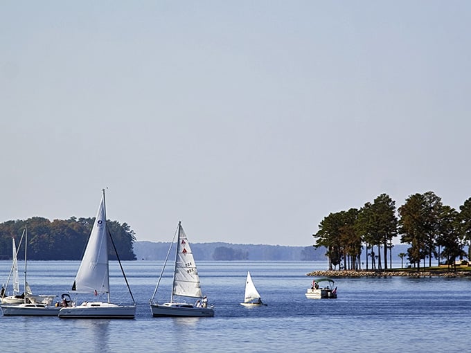 Sailboats drift across Lake Murray's sparkling blue water like peaceful white clouds floating on a liquid sky.