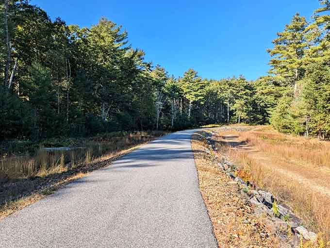 Smooth pavement meets sparkling water on this accessible trail where even your fancy sneakers feel right at home.