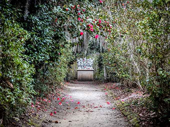 Pink camellia petals carpet this garden path like confetti from nature's celebration, leading somewhere absolutely enchanting.
