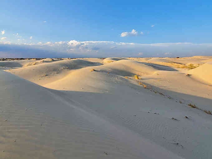 These golden dunes roll like waves frozen in time, creating a Sahara-style playground right here.