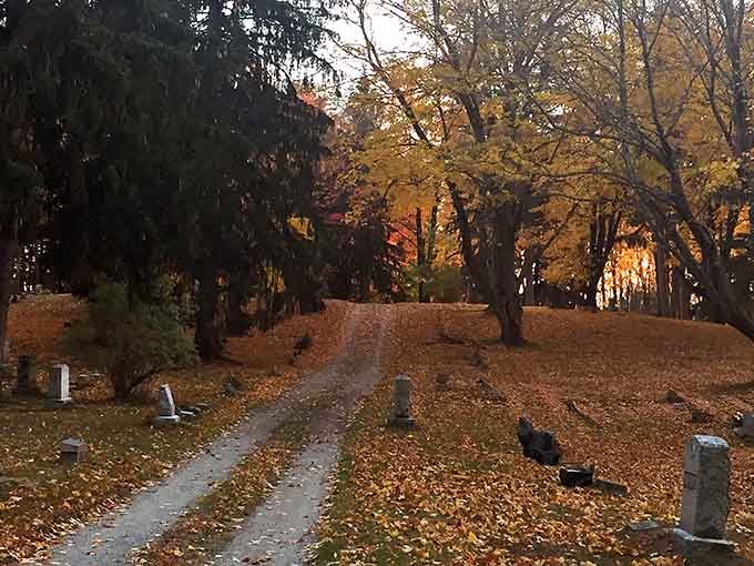 Golden autumn leaves blanket the cemetery paths where shadows grow longer as the sun dips low.