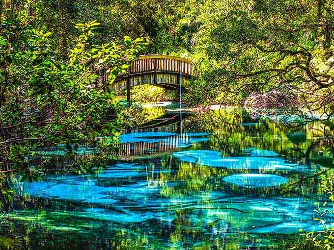 Water so clear and blue, it looks like nature's own swimming pool with a footbridge for admiring.