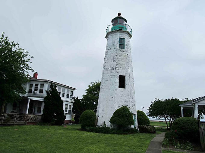This weathered white sentinel has seen more history than your favorite PBS documentary, standing guard with quiet dignity.