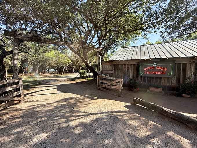 Sunlight filters through ancient oak trees onto weathered wood that's seen more steaks than most of us ever will.