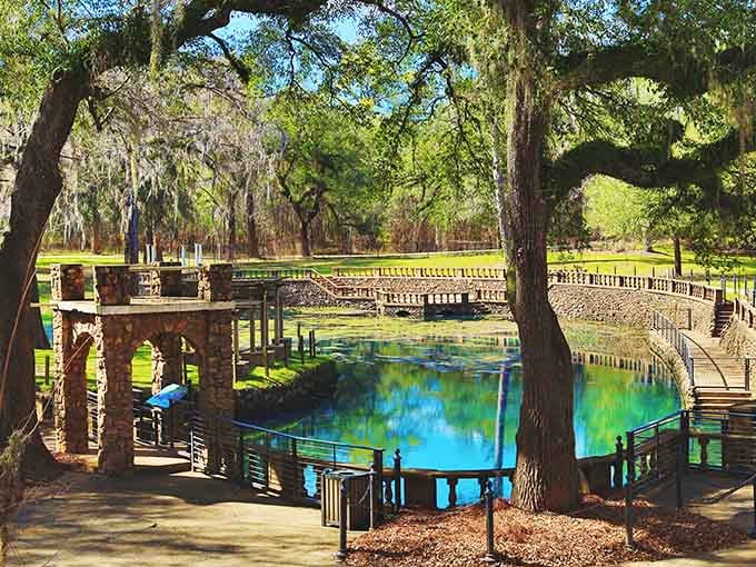 That blue is so impossibly vivid, it looks like someone Photoshopped reality and forgot to tone it down.