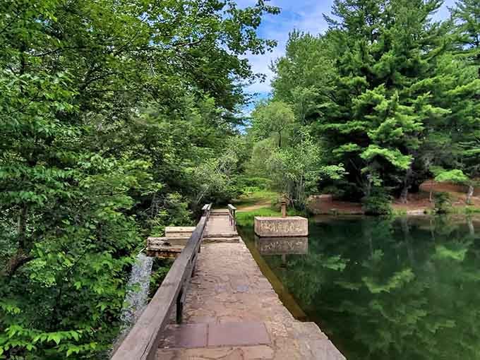 A wooden footbridge stretches across emerald water, inviting you into a forest that feels wonderfully untouched by time.