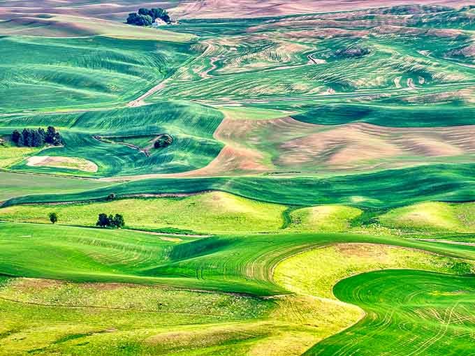 Rolling farmland waves like a green ocean frozen mid-swell, proving flat can be absolutely spectacular too.